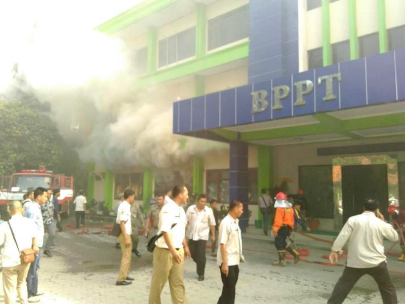 BPPT Produksi Cangkang Kapsul dari Rumput Laut - Aktual.com