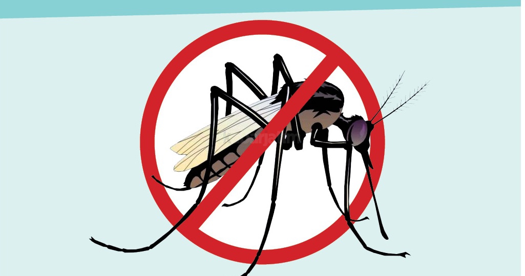 Pencegahan DBD Ditekankan Melalui 3M Plus dan Vaksinasi - Aktual.com