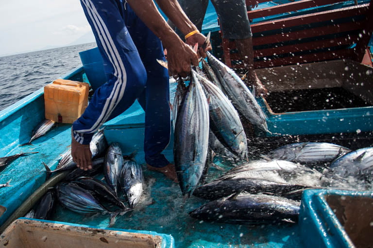 Indonesia Ekspor Hasil Laut ke Amerika Serikat dan Jepang - Aktual.com