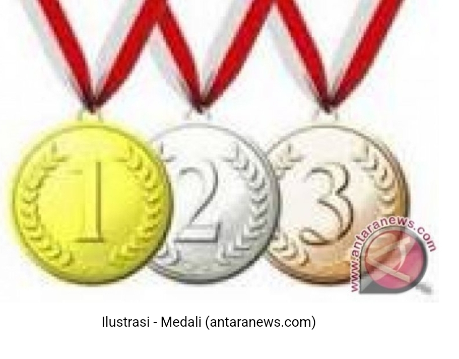 Ini Dia Bentuk Medali Emas Sea Games Vietnam - Aktual.com