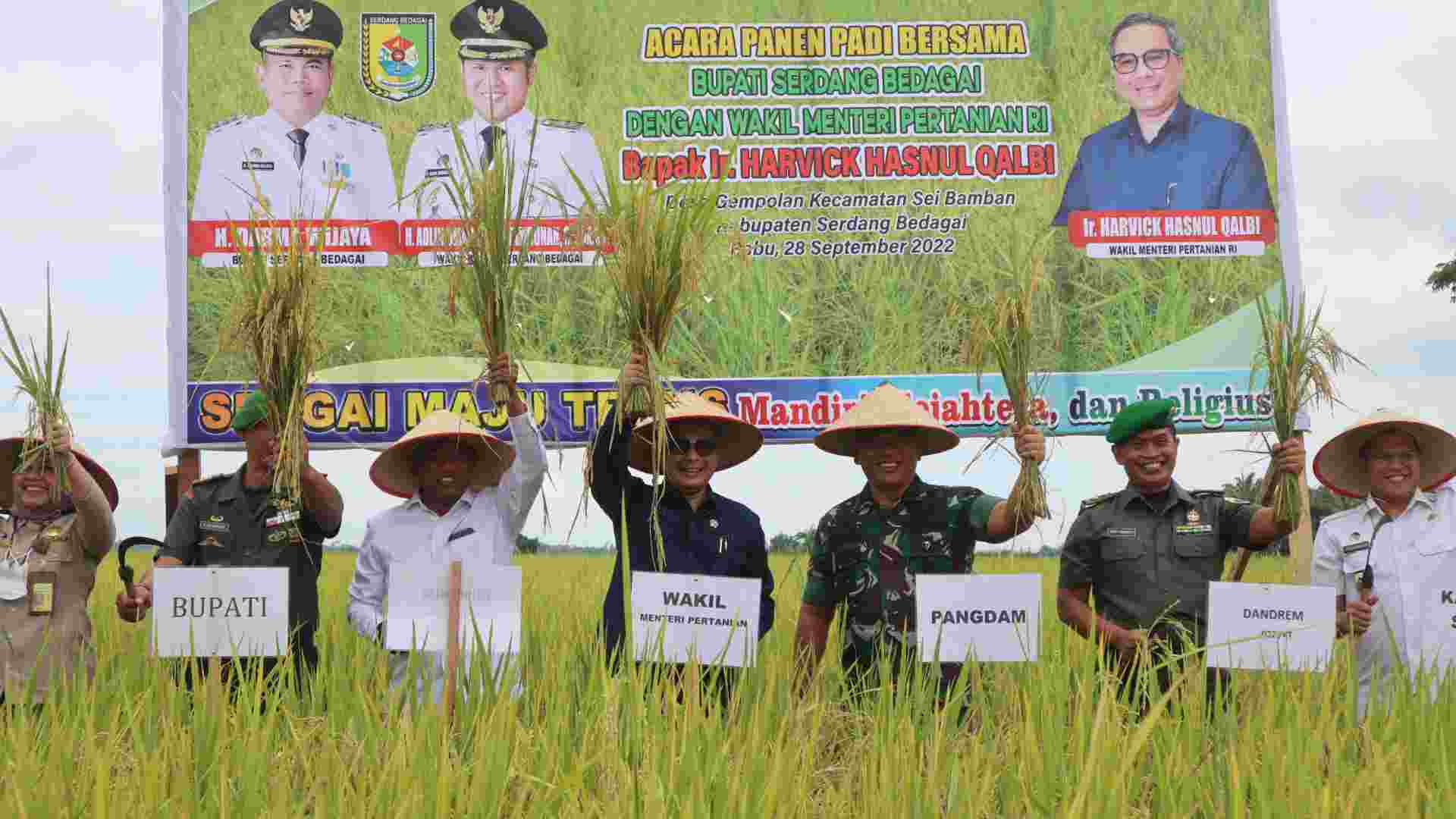 Wamentan Minta Produksi Padi di Serdang Bedagai Lebih Digenjot - Aktual.com