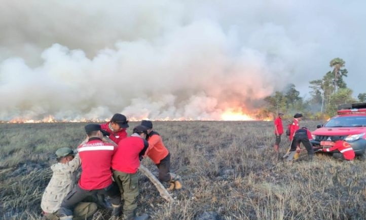 Kawasan Savana Balai Taman Nasional Rawa Aopa Watumohai di Konawe ...