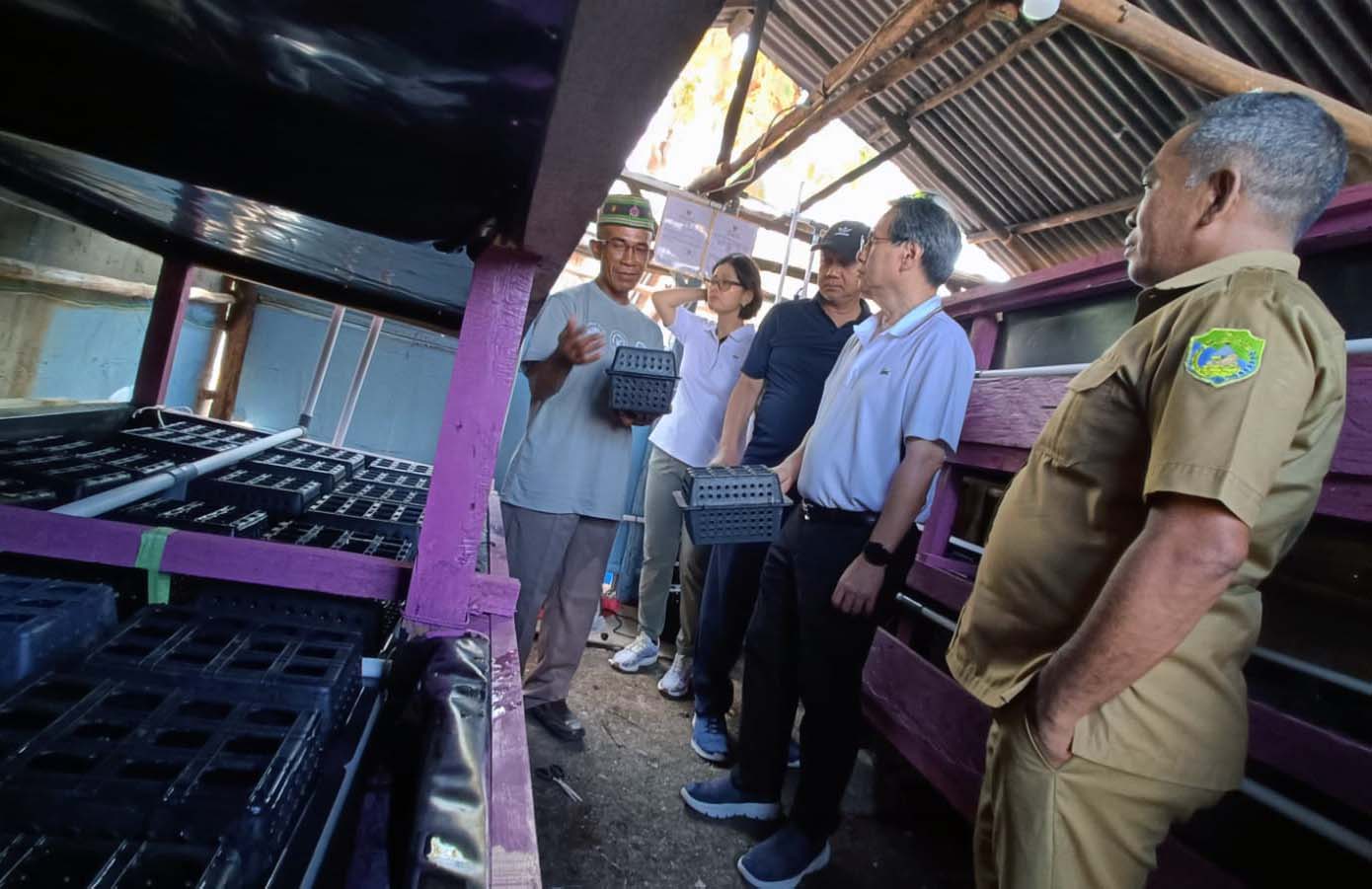 Mengembangkan Budidaya Kepiting Asal Boleng dengan Metode YDBA - Aktual.com