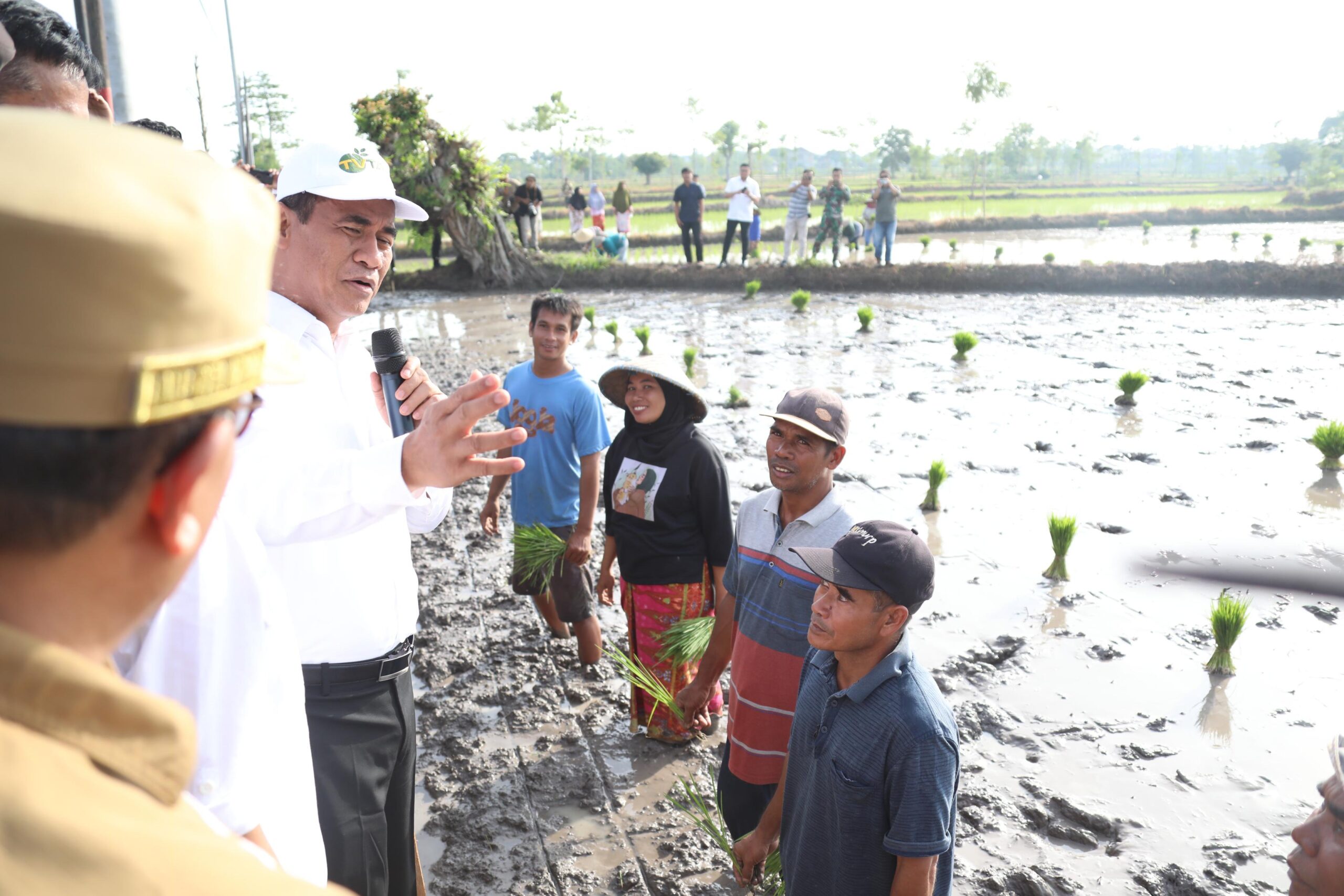 Mentan Amran Apresiasi Kinerja NTB Tingkatkan Produksi Padi dan Jagung Nasional - Aktual.com