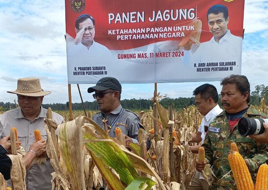 Kementan dan Kemenhan Gelar Panen Raya Jagung di Food Estate Gunung Mas - Aktual.com