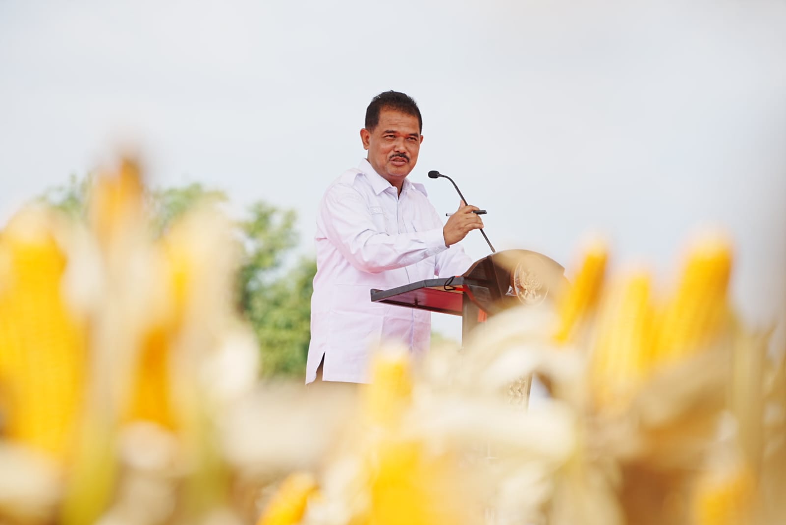 Kementan Sebut Panen Raya Jagung di Tuban Capaian Luar Biasa - Aktual.com